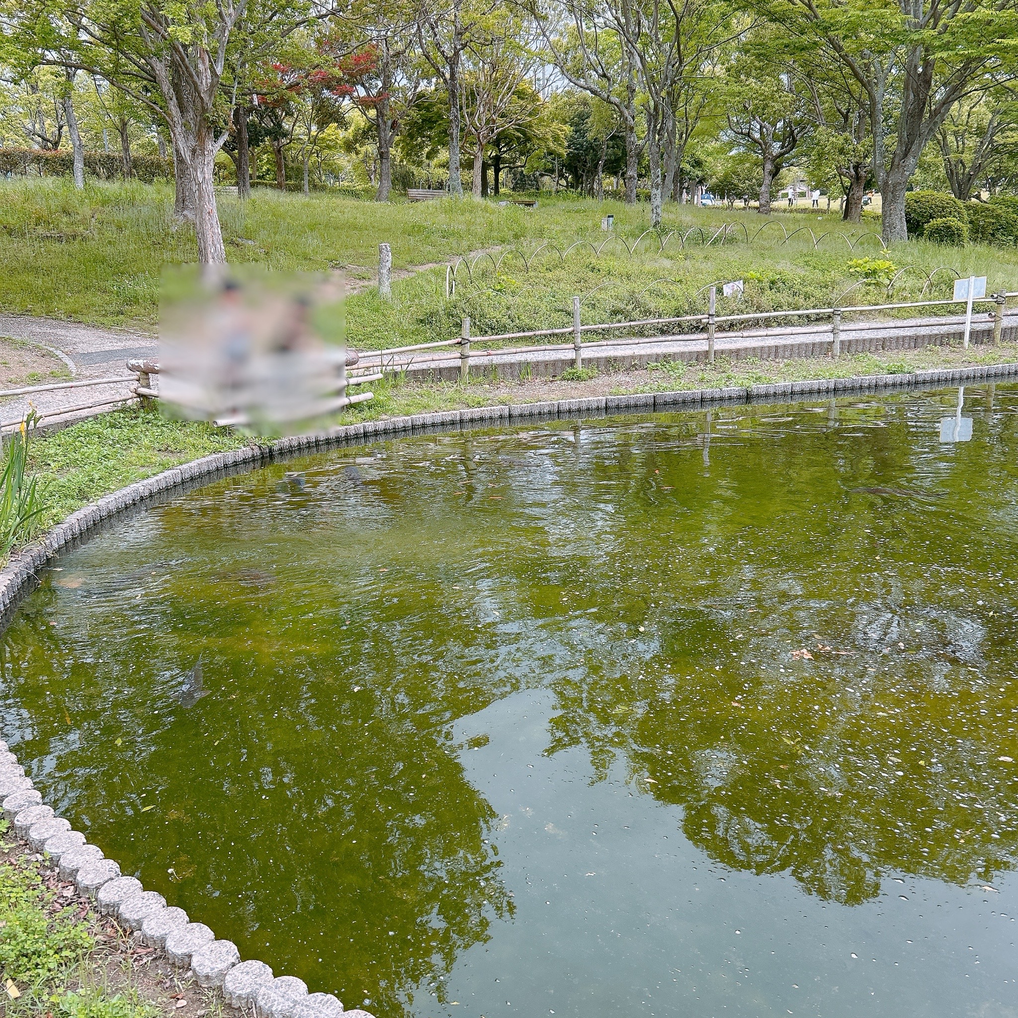 【福岡・福津市】なまずの里公園｜子連れで遊べる自然いっぱいの大型公園 | おでかけのーと。
